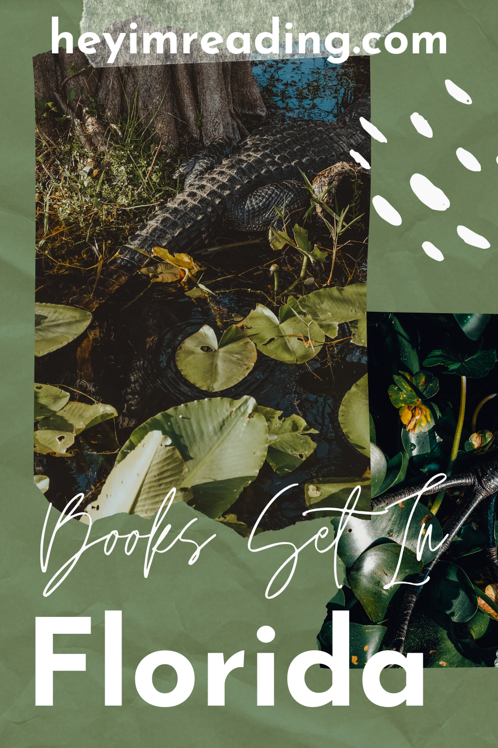 These are some of the best books about Florida. There is Florida ...